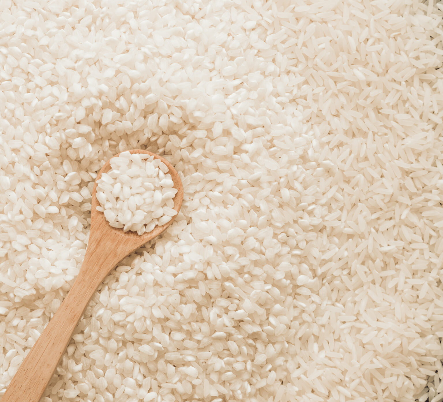 Le Riz à Sushi - Tout Savoir sur le Riz pour Préparer des Sushi